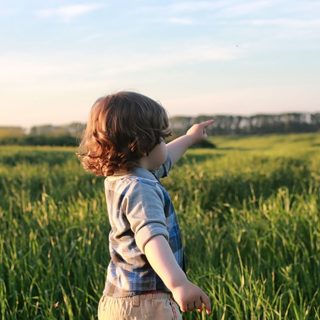 The Benefits of Having a Connection With Nature