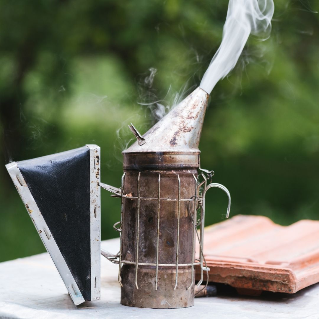 Mosquito Management – Living in The Land Between Series