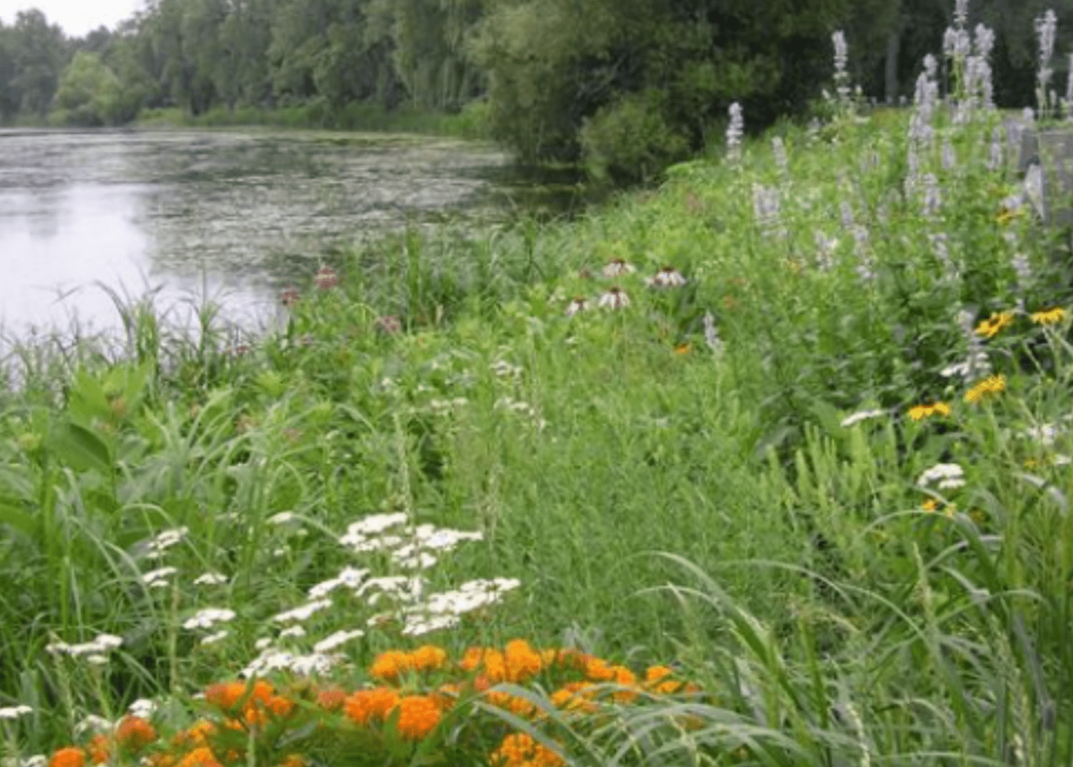 The Land Between – Explore – Learn – Inspire