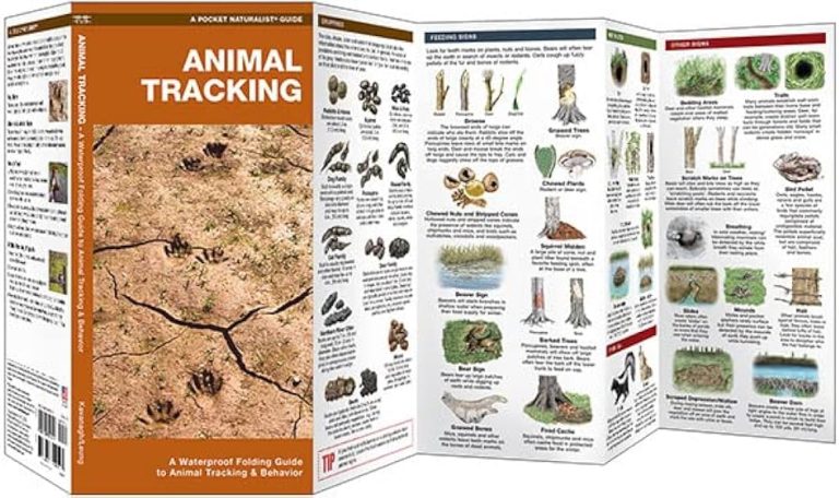 Animal Tracking Pocket Naturalist Guide