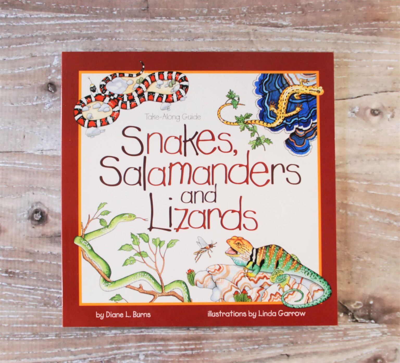 Snakes, Salamanders and Lizards (Take-Along Guide)