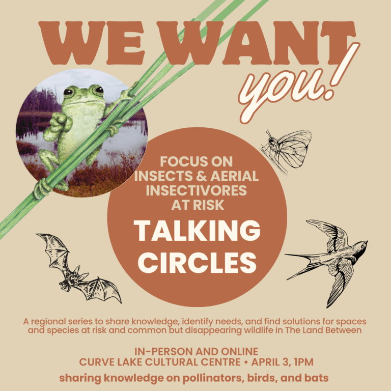 Biodiversity Conservation Talking Circles – FLYERS